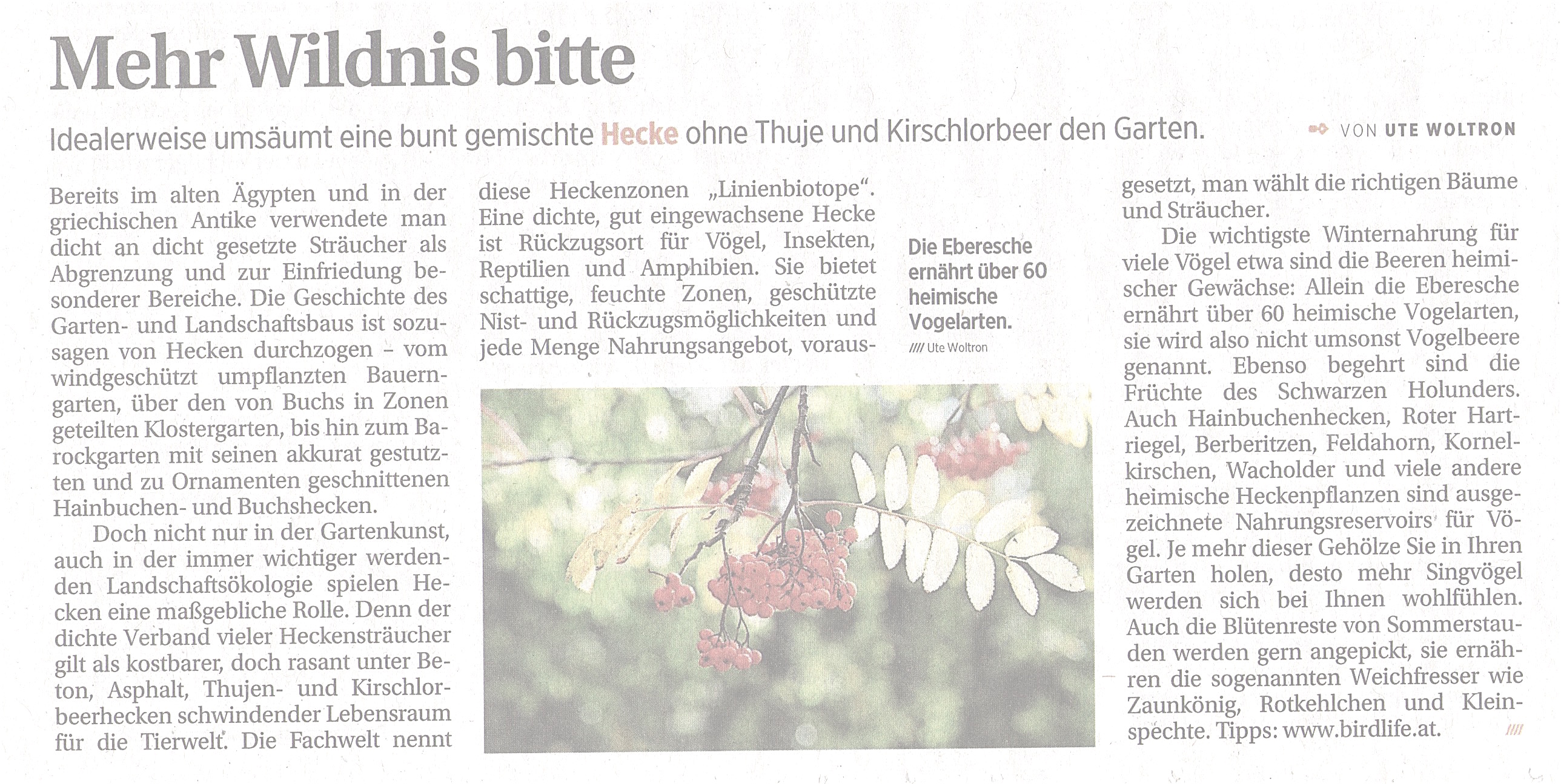 Für die Biene, für das Leben