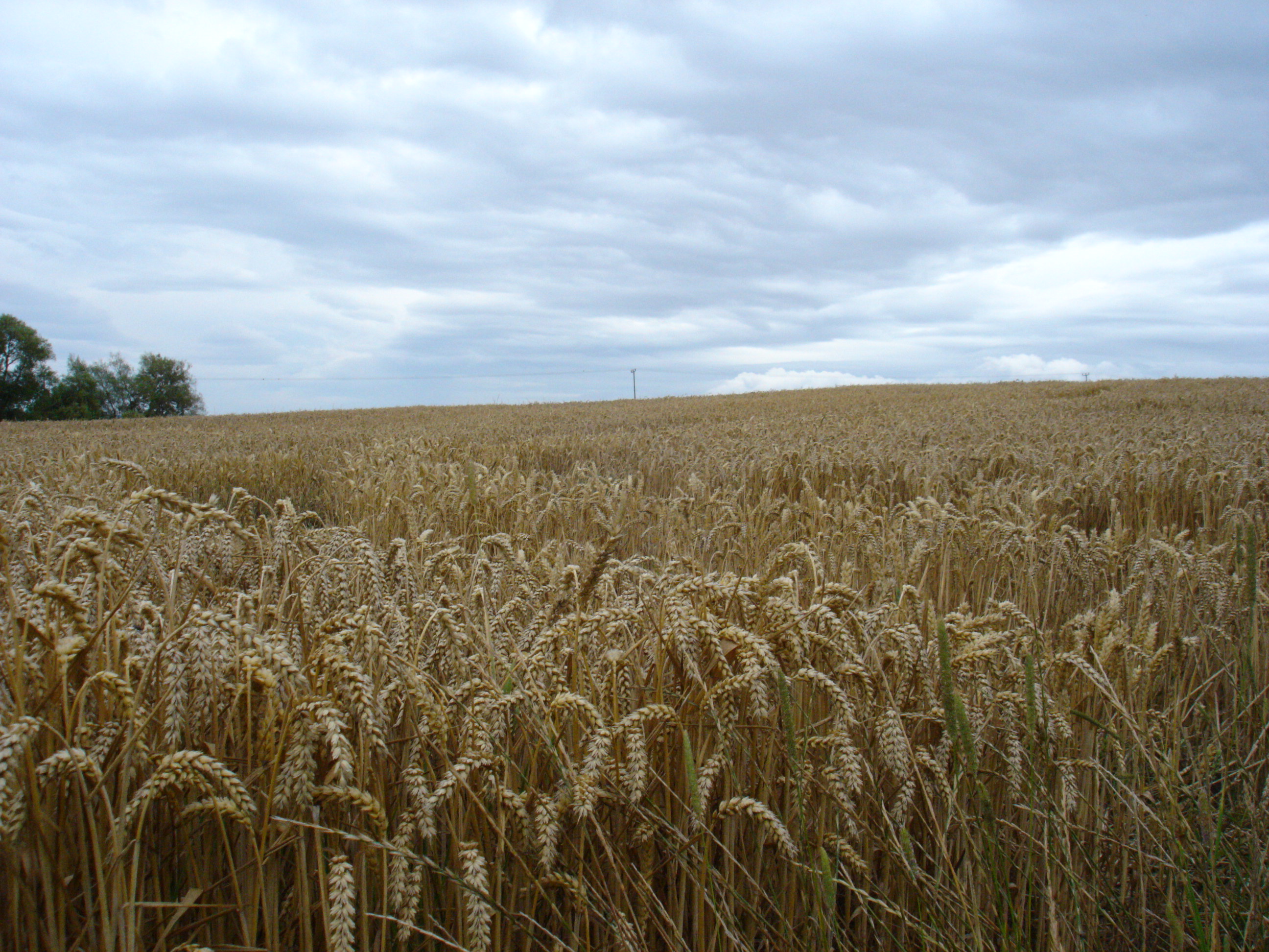 evolution sheet metal ltd